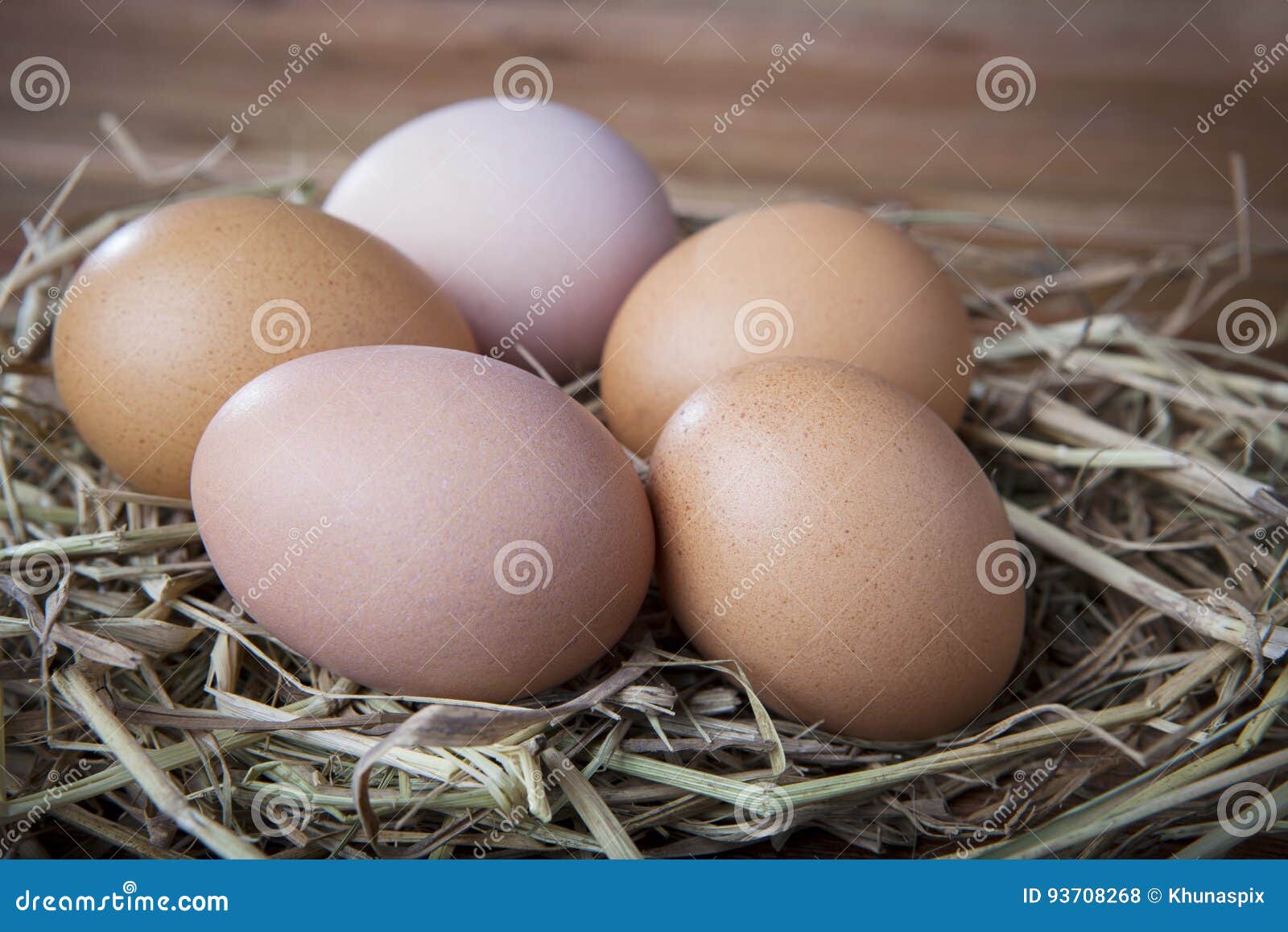 Natural Organic Eggs on Chicken Hatching Nest Stock Photo - Image of ...