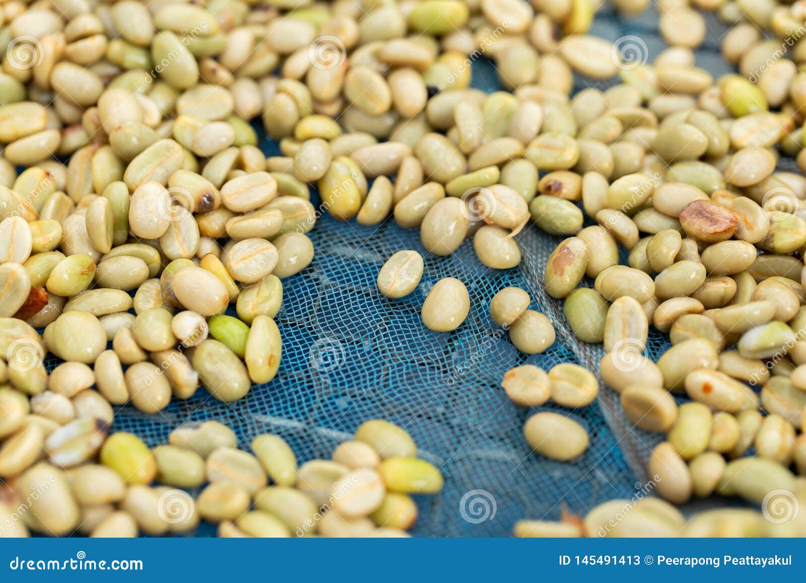 Natural Organic Green Coffee Beans Stock Image - Image of beans, green ...