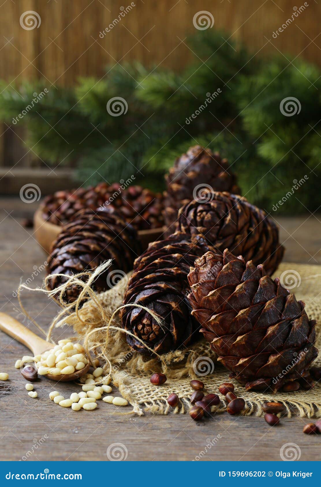 Organic Pine Cones and Nuts Stock Photo - Image of branch, organic ...