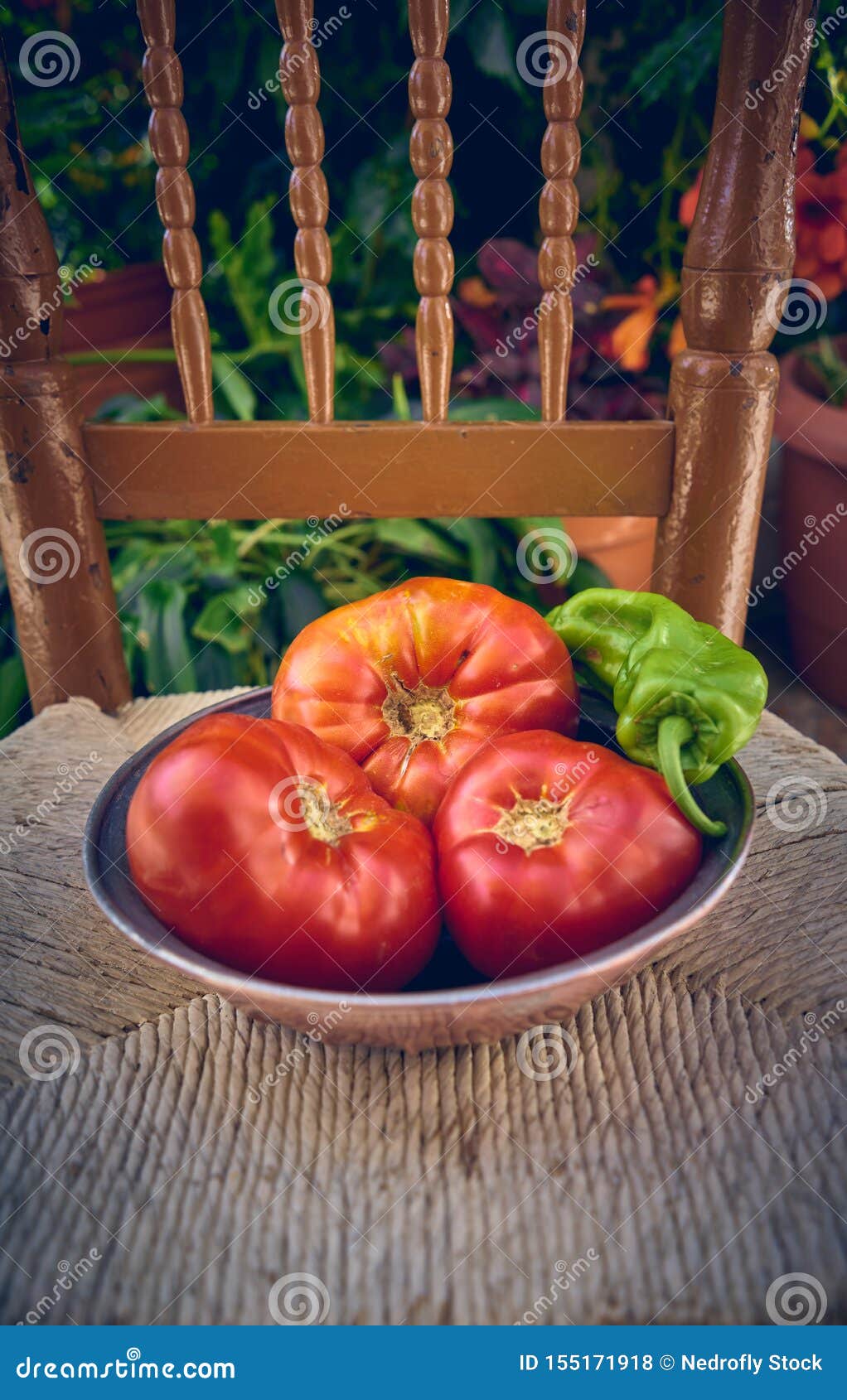 100 Natural Organic Tomatoes from the Garden. Large Non-transgenic ...