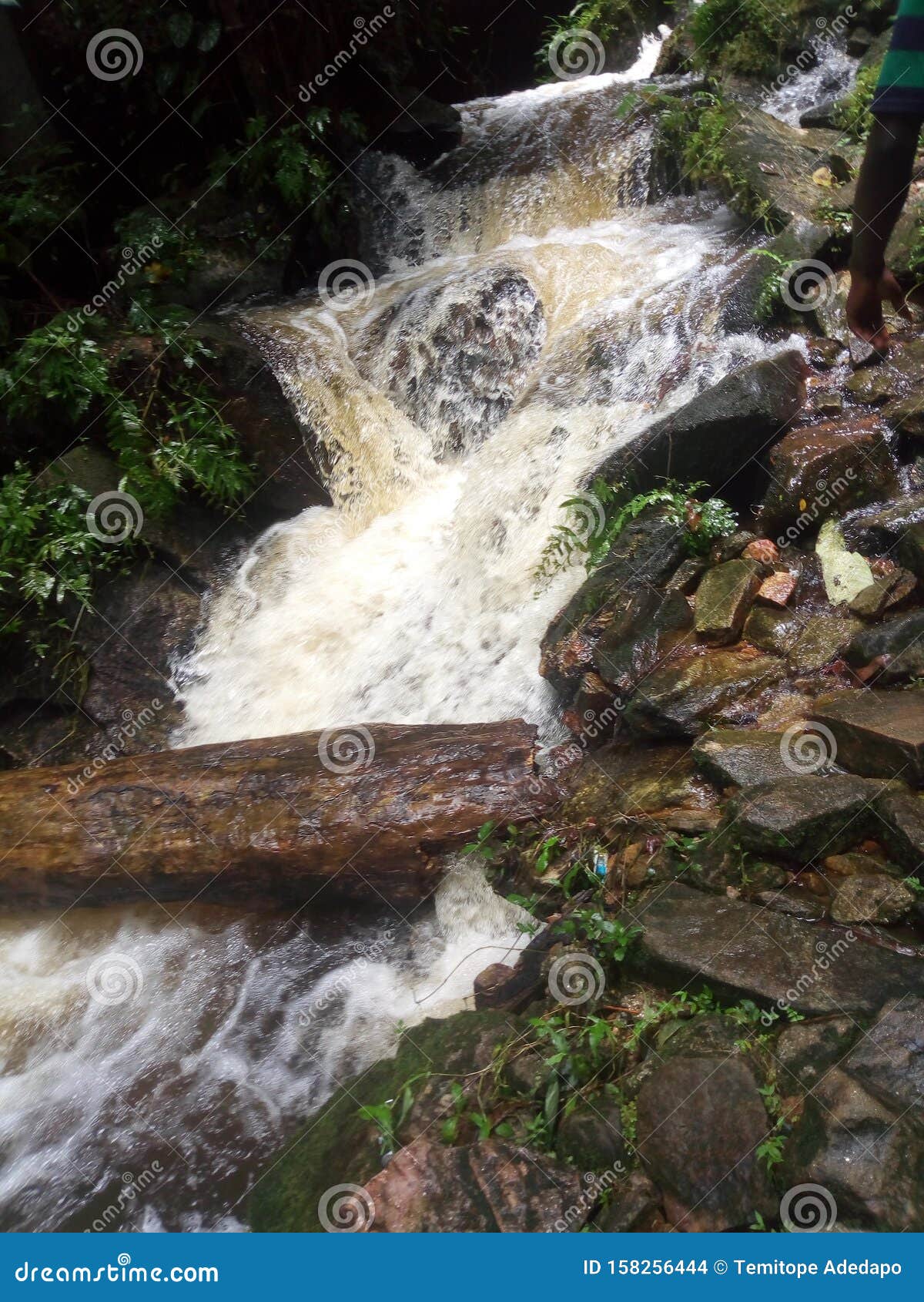 A Natural Overflowing River Stock Photo - Image of natural, nature ...