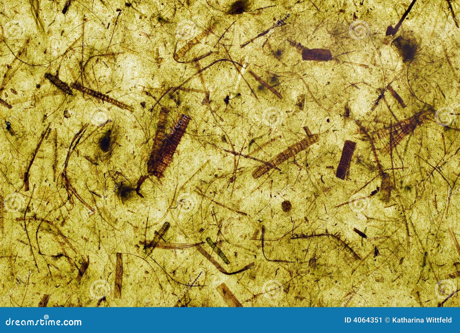 Natural paper background stock image. Image of bark, backlit - 4064351