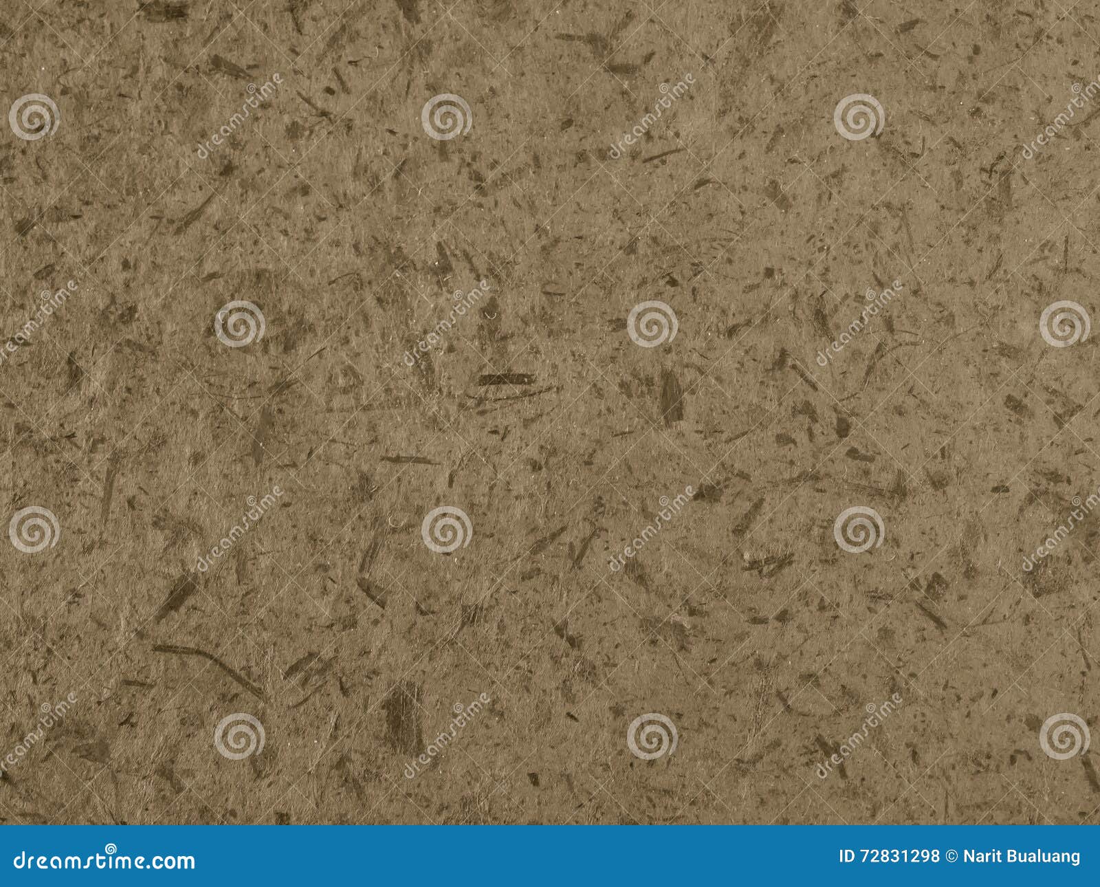 Natural paper stock photo. Image of strip, nature, round - 72831298