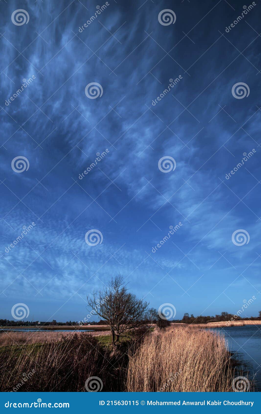 Natural park at Denmark stock image. Image of lake, farm - 215630115