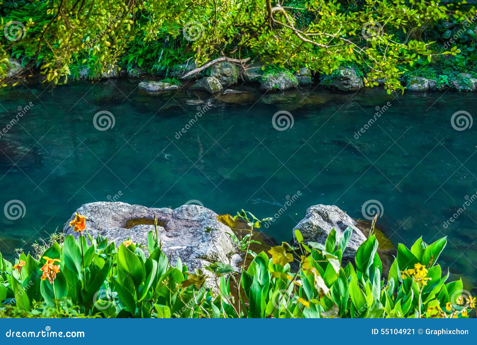 Natural park stock image. Image of channel, nature, prak - 55104921