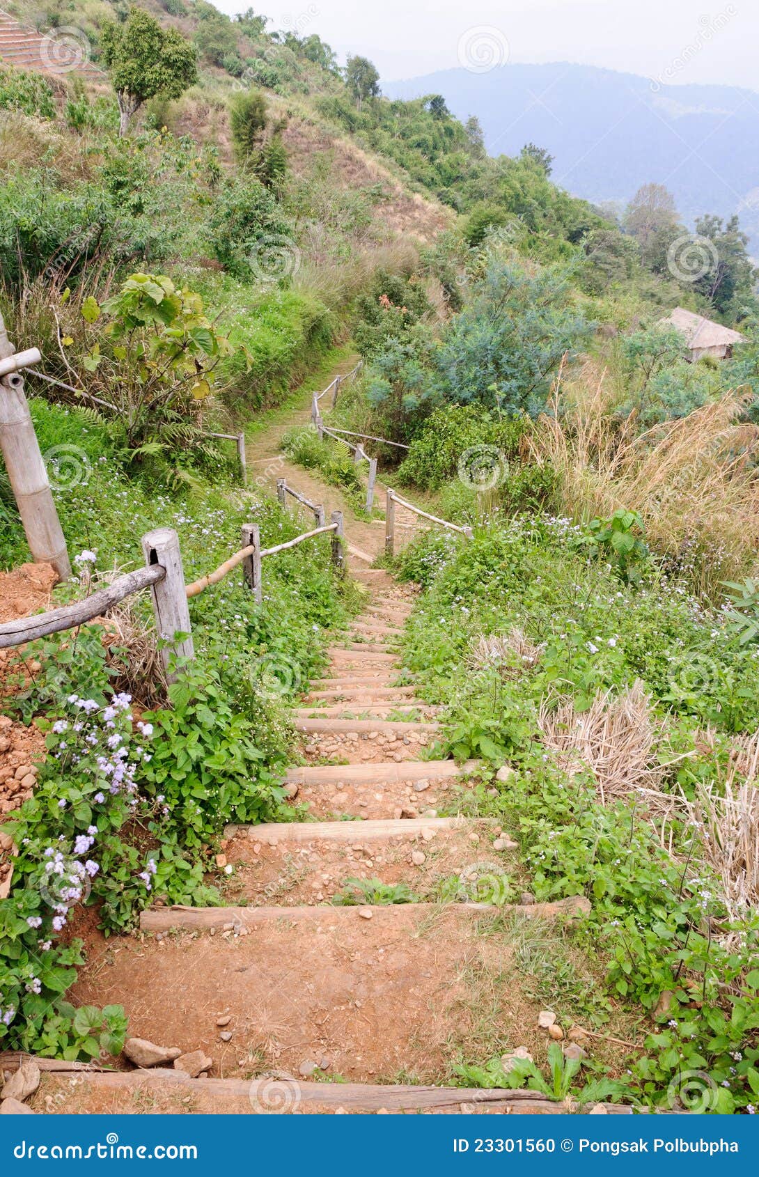 Natural path stock photo. Image of blue, rural, beauty - 23301560