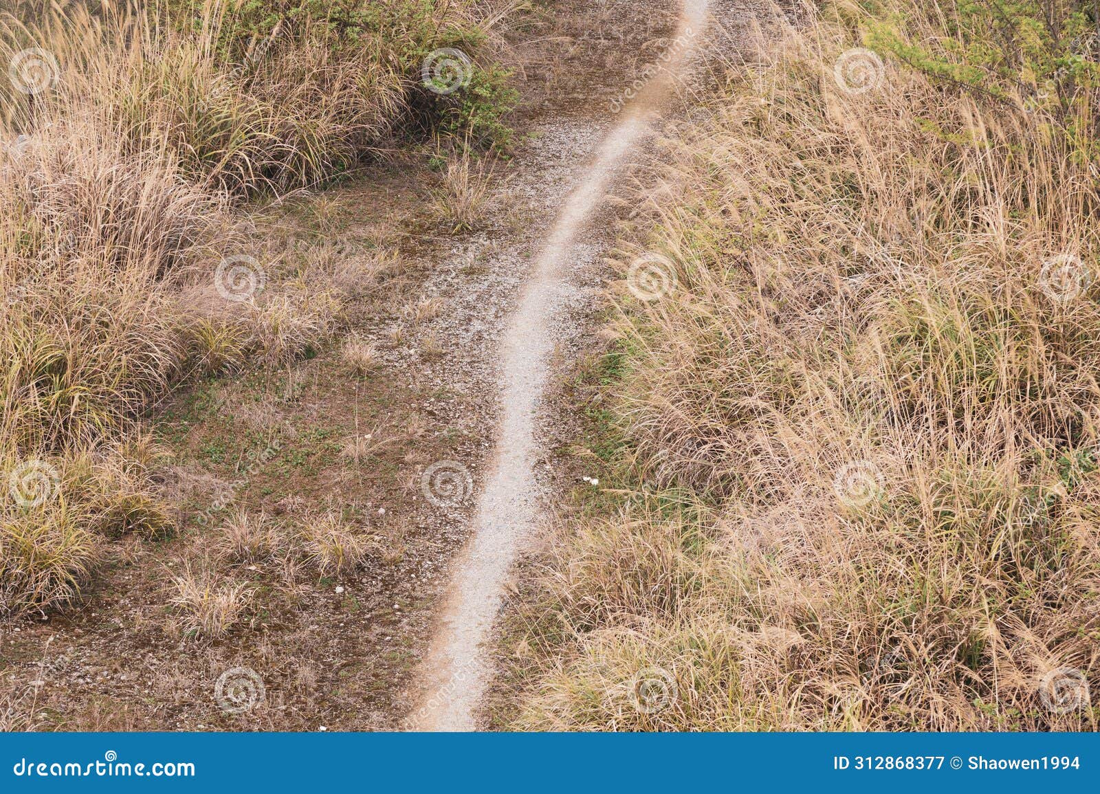 Natural path stock image. Image of bending, gardening - 312868377