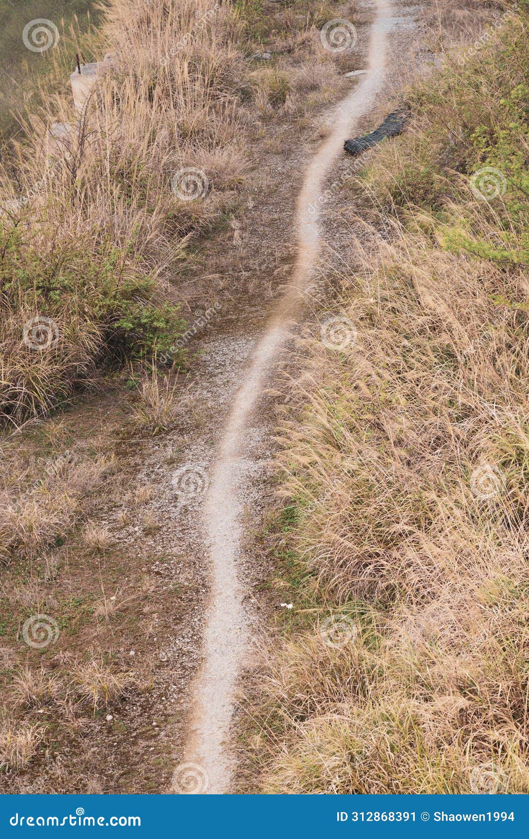 Natural path stock image. Image of grass, nature, bending - 312868391