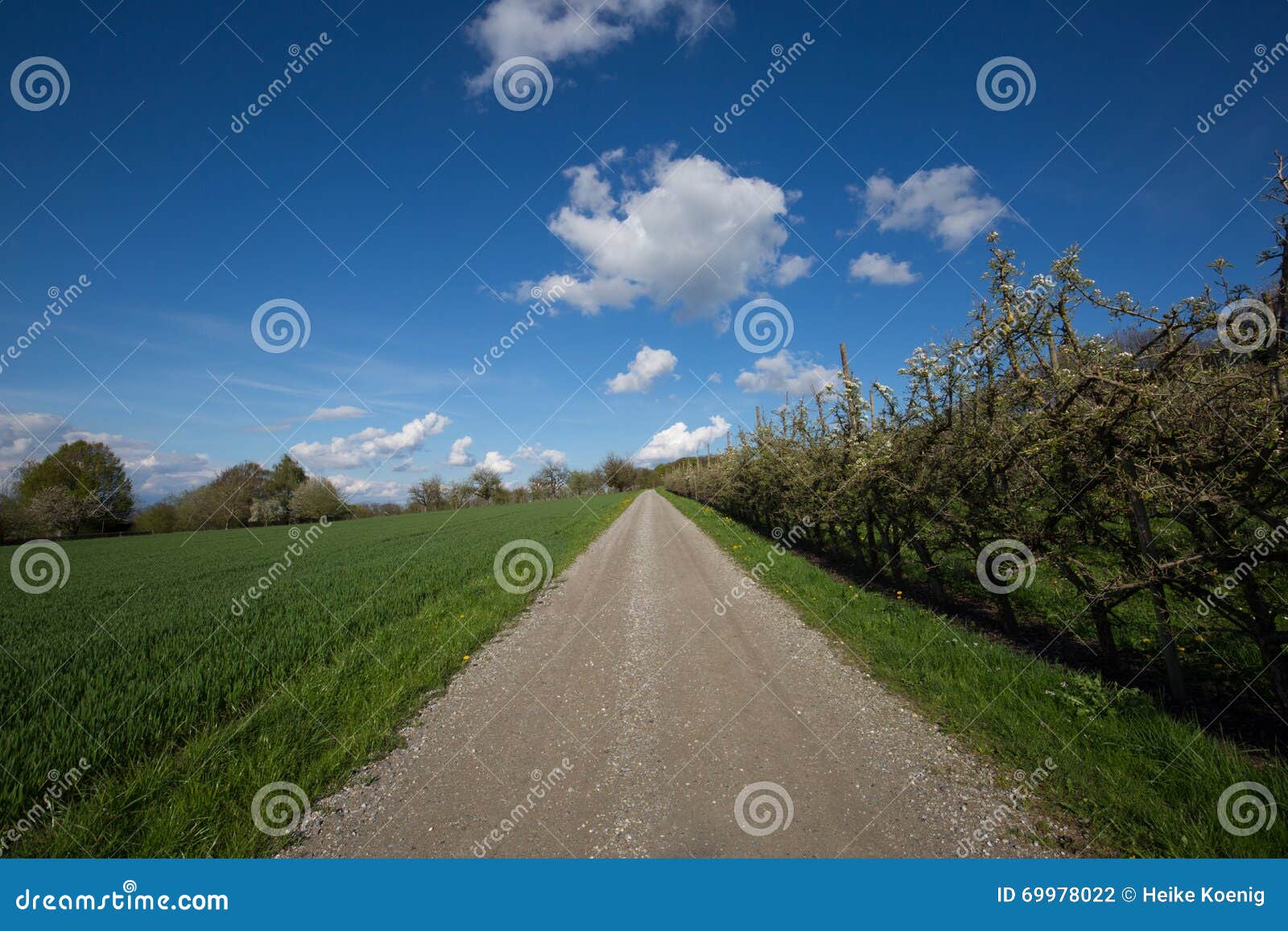Natural Path, Green Grass and Blue Sky with Clouds Stock Photo - Image ...