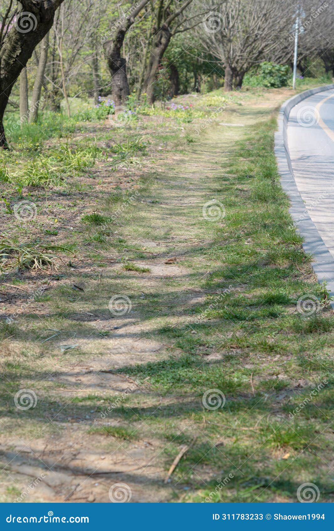Natural path stock image. Image of seasonal, background - 311783233