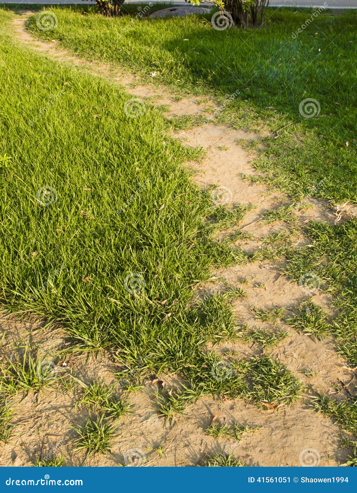 Natural path stock image. Image of park, gardens, home - 41561051