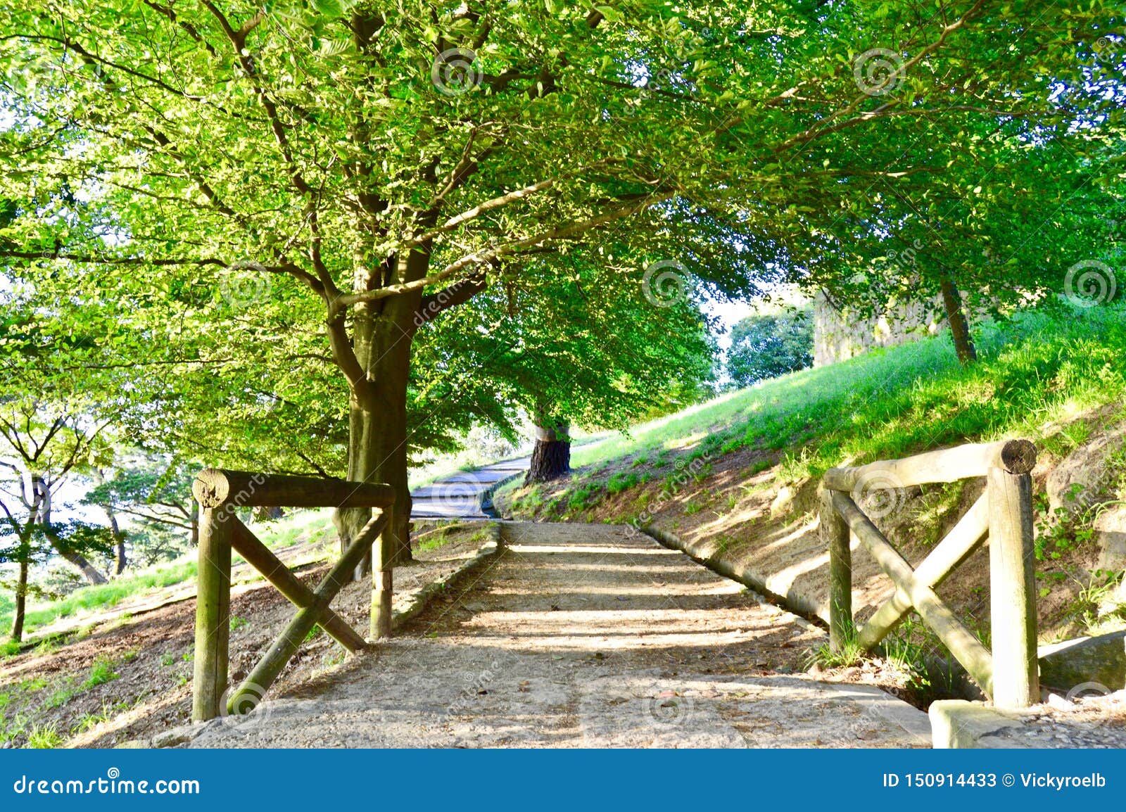 Natural Path in the park stock image. Image of amazing - 150914433
