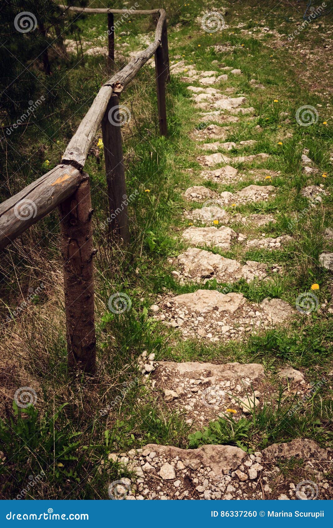 Natural path stair stock photo. Image of garden, landscaped - 86337260