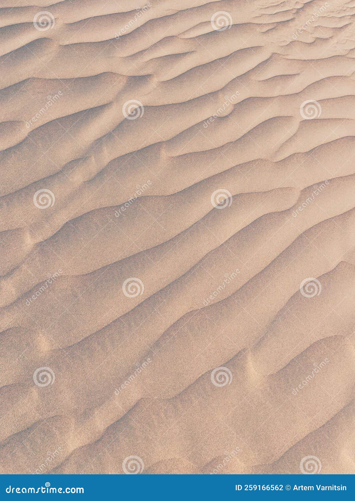 Natural Pattern on a Dune Sand Stock Photo - Image of dune, pattern ...
