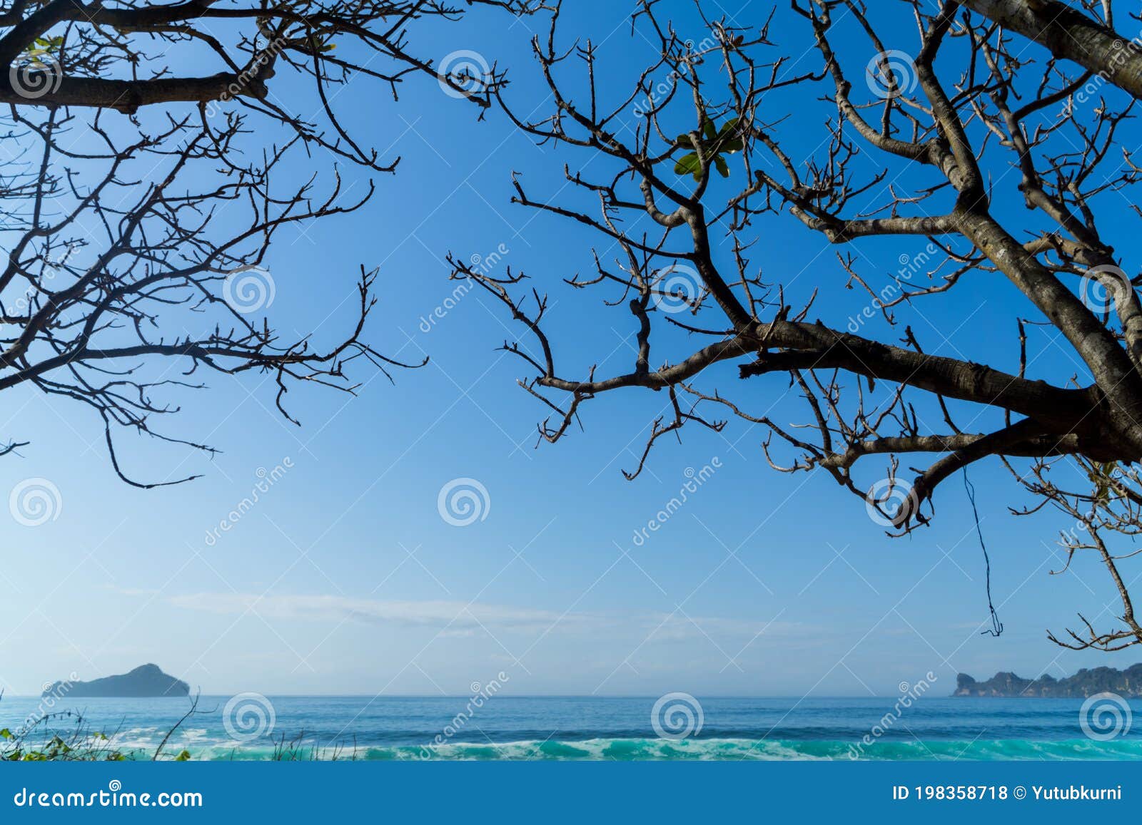 Natural Pattern of Tree Trunk Stock Photo - Image of landscape, natural ...