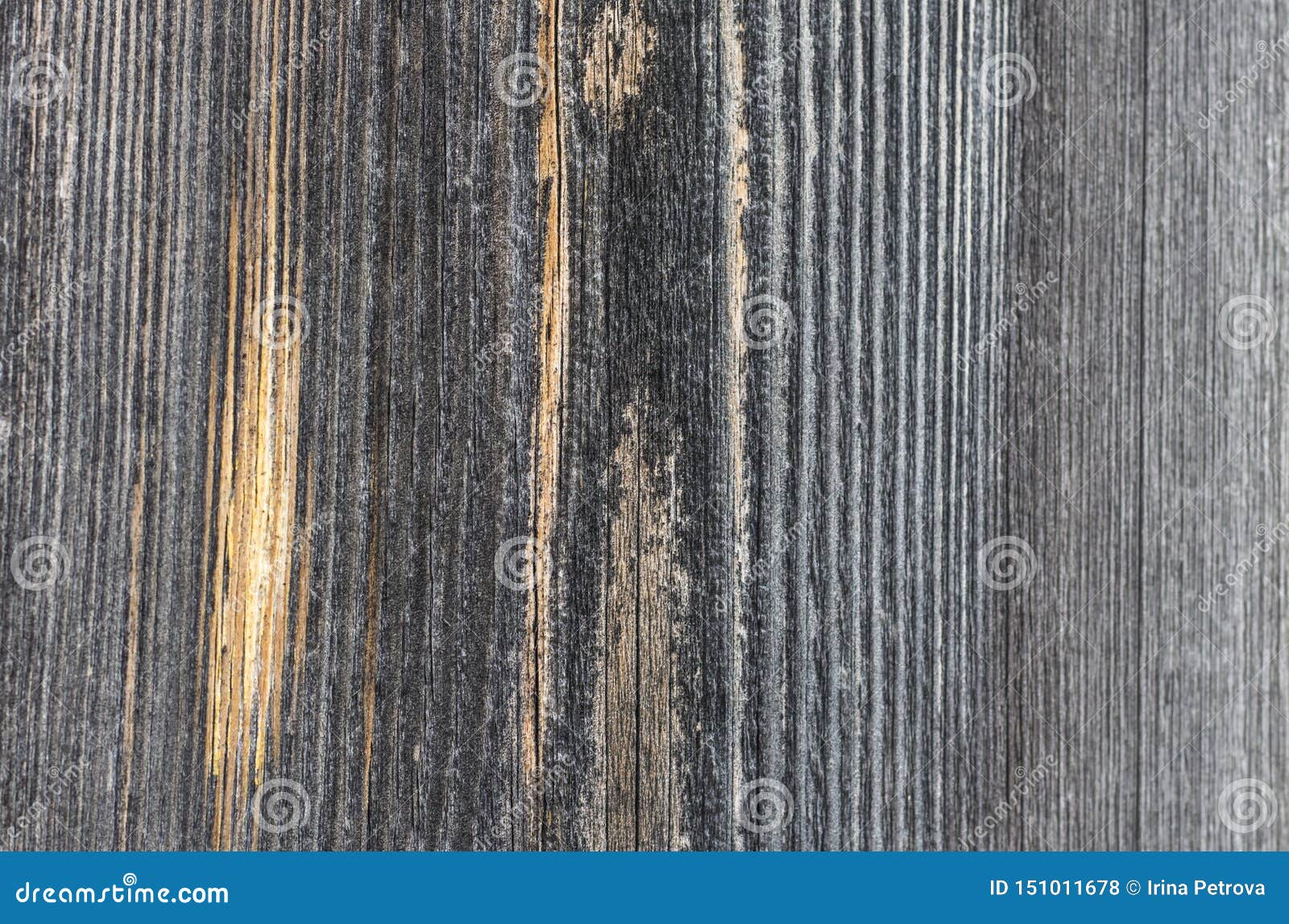 Natural Pattern on Natural Wood Board Texture Stock Photo - Image of ...