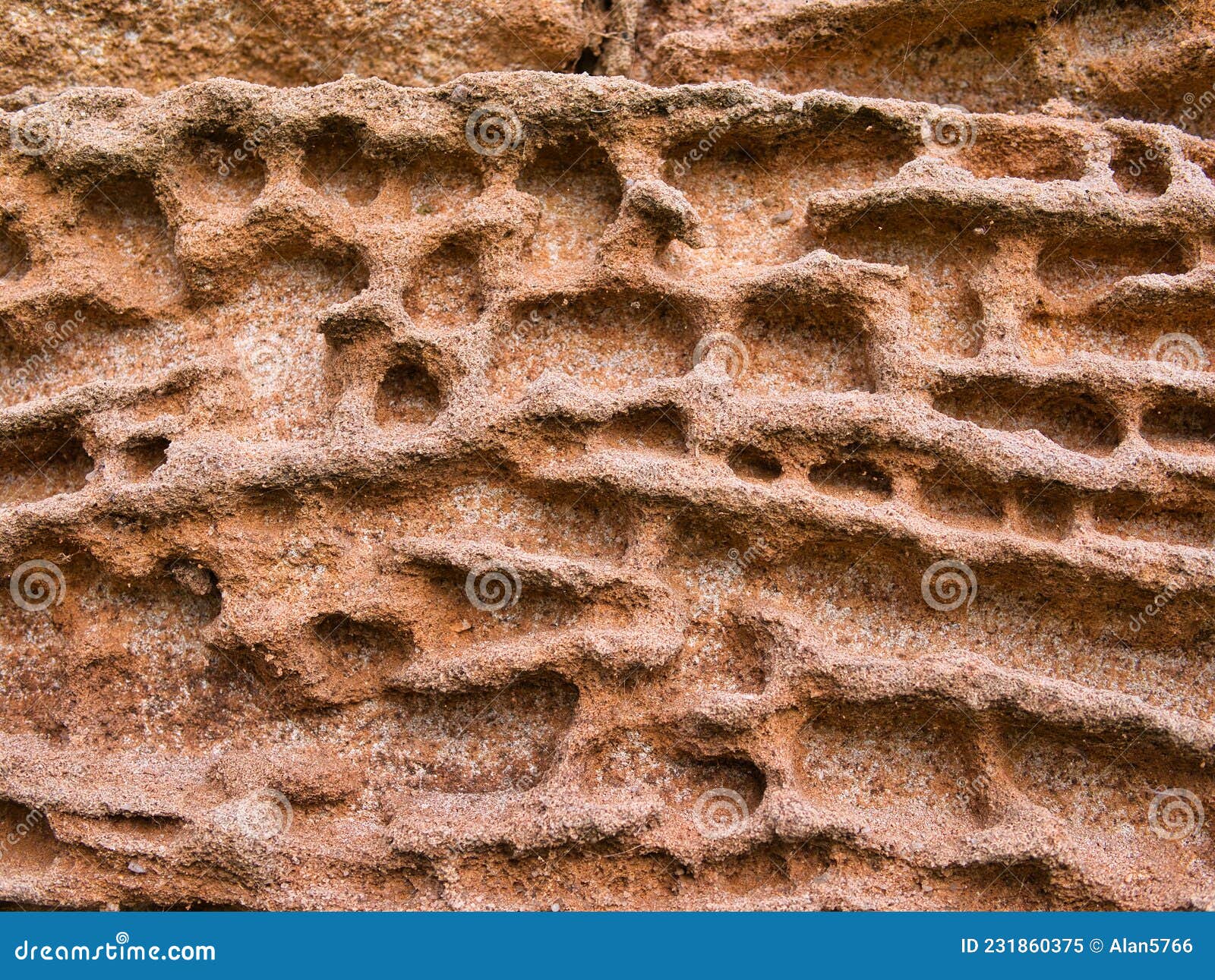 Natural Patterns in Sandstone Eroded by the Action of the Weather Stock ...