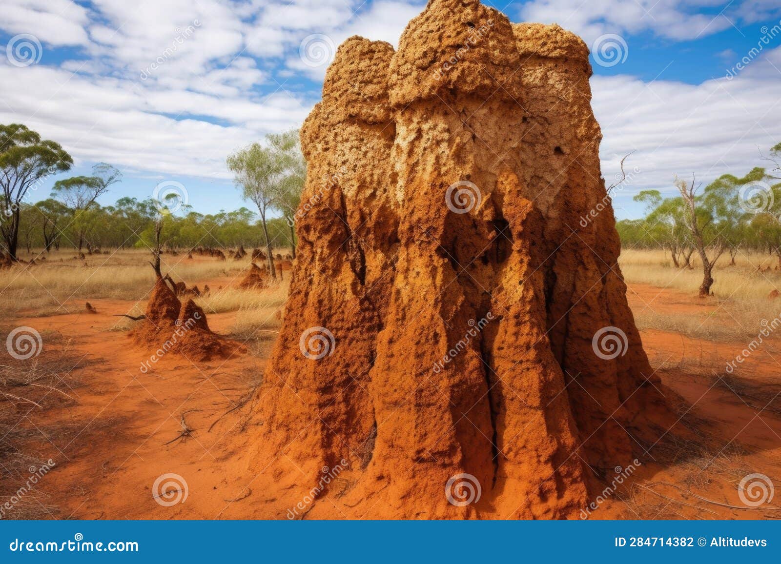 Natural Patterns and Textures of Termite Mound Surface Stock Photo ...