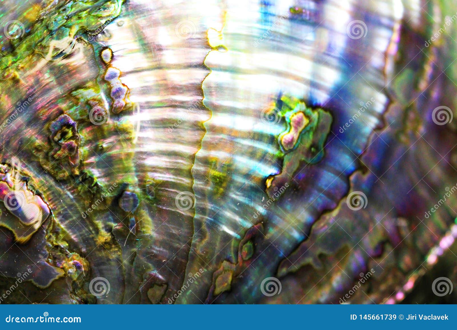 Natural pearl texture stock image. Image of pattern - 145661739