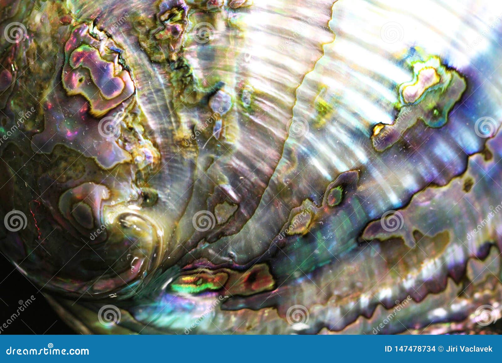 Natural pearl texture stock photo. Image of beautiful - 147478734