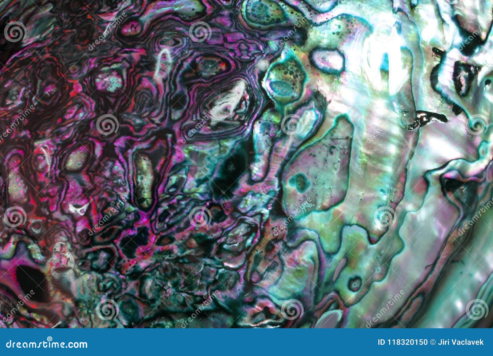 Natural pearl texture stock photo. Image of abalone - 118320150