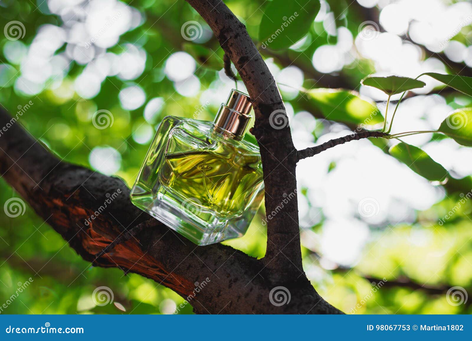 Natural Perfume on Green Background Stock Image - Image of elegance ...