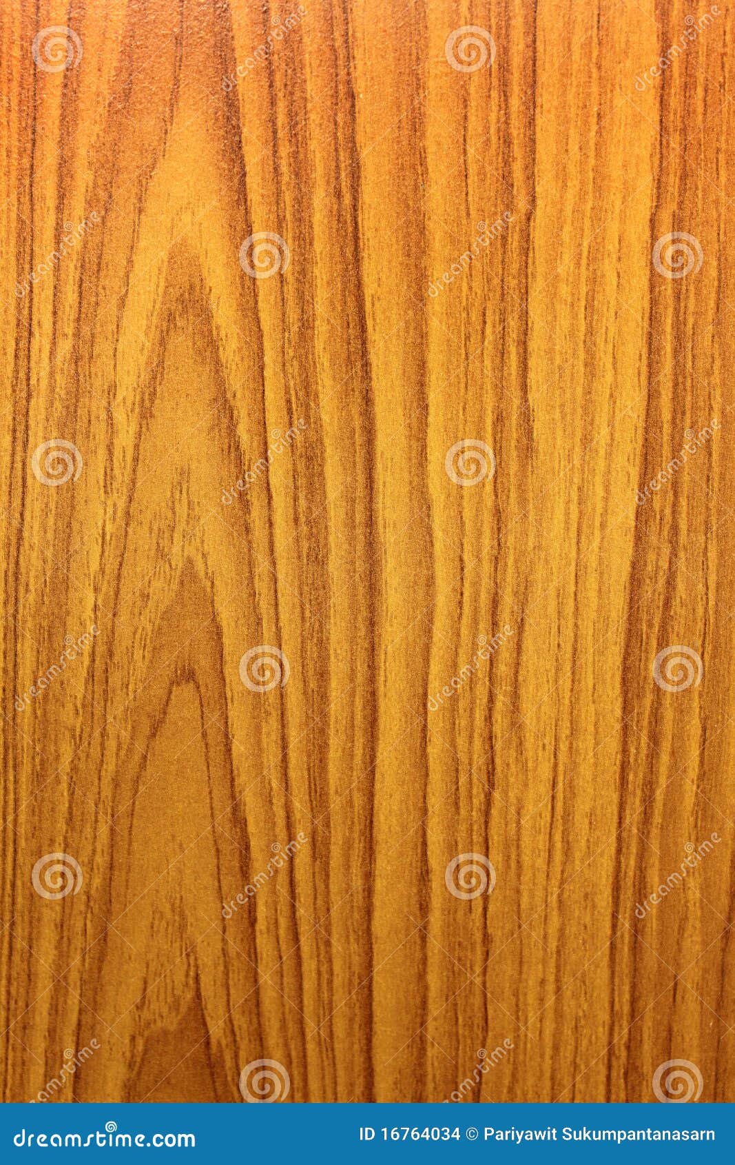Natural Pine Wood Texture stock photo. Image of abstract - 16764034