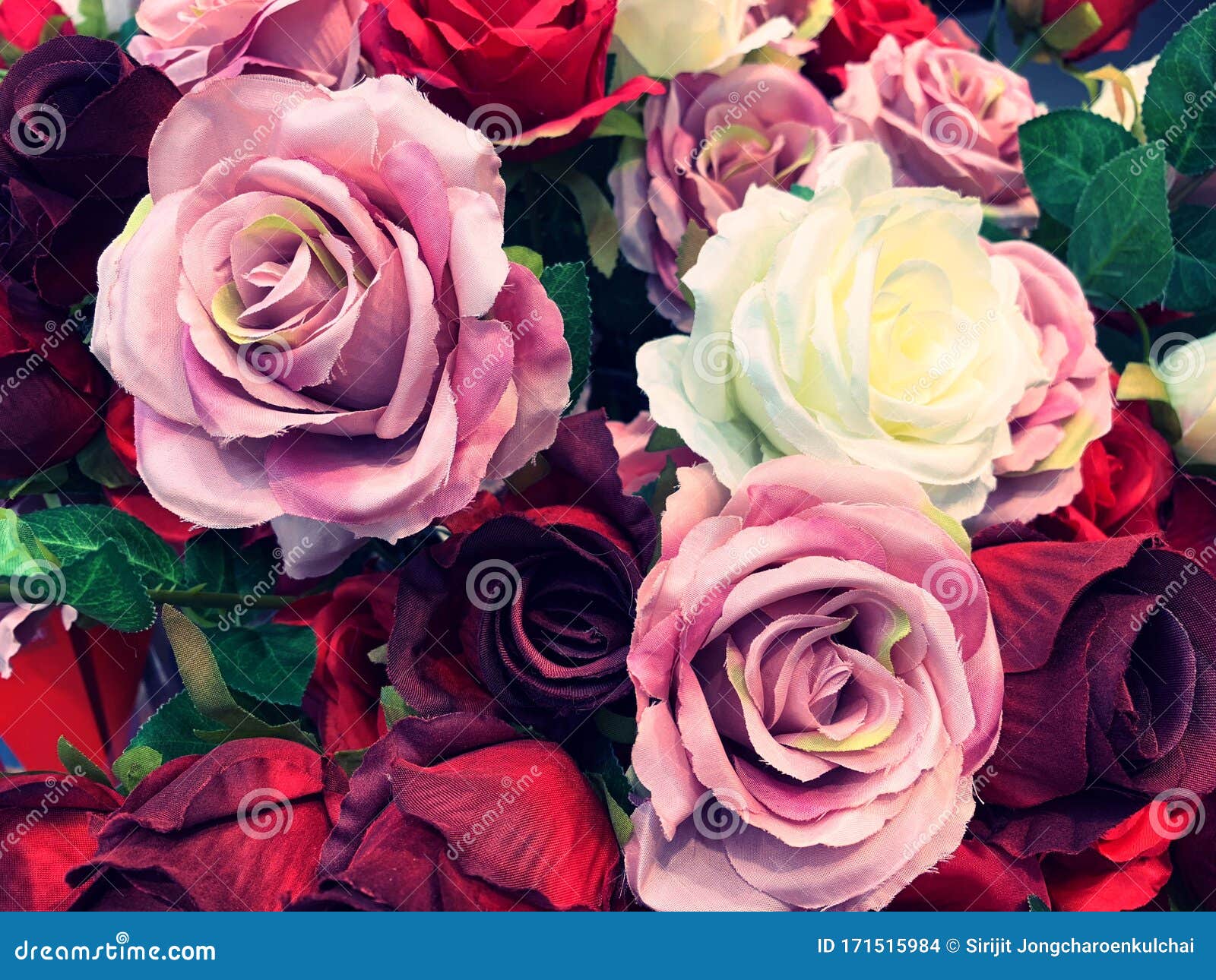 Natural pink roses stock photo. Image of bouquet, fresh - 171515984