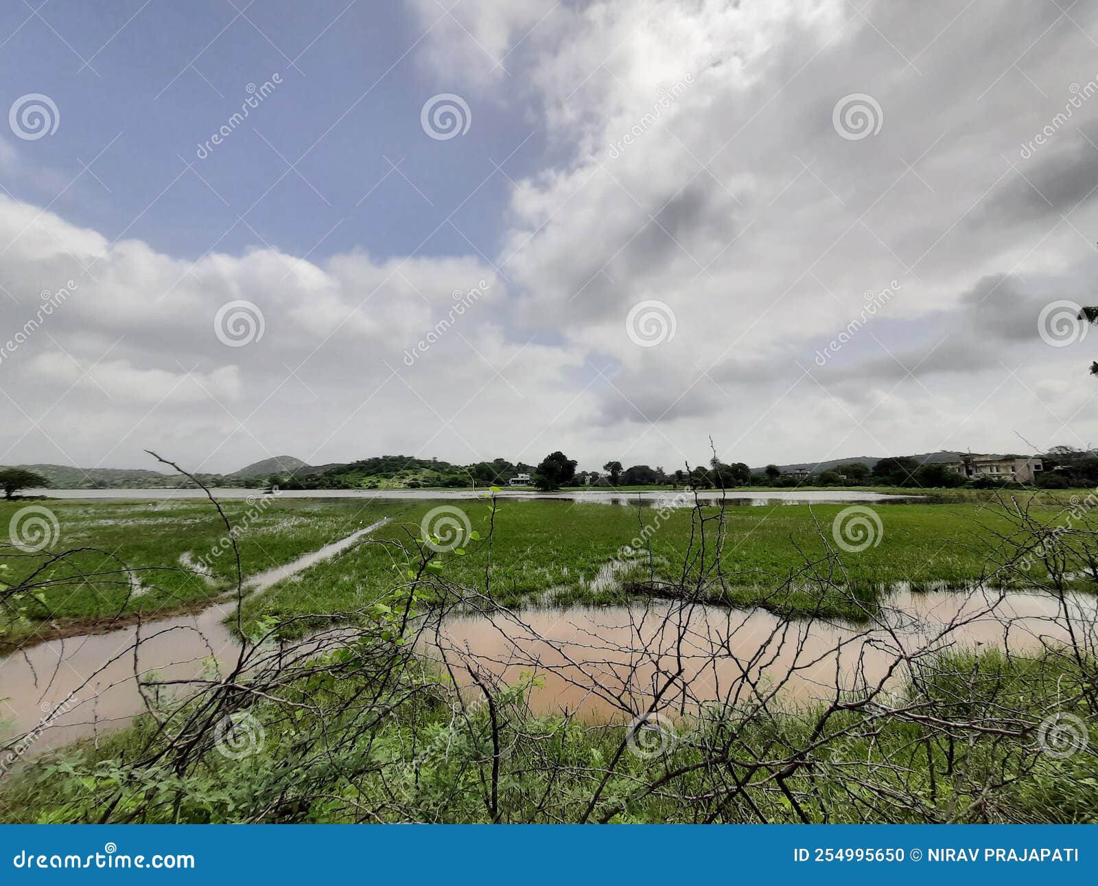 Natural place stock photo. Image of landscape, nature - 254995650