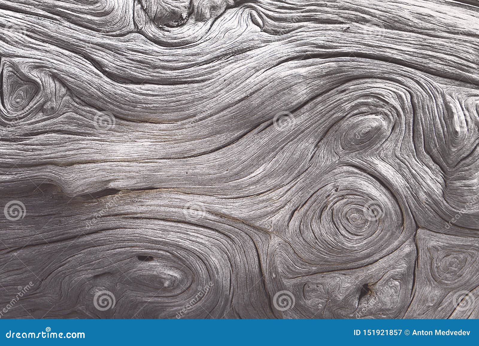 Natural Plank Texture - Pretty Abstract Photo Background Stock Image ...