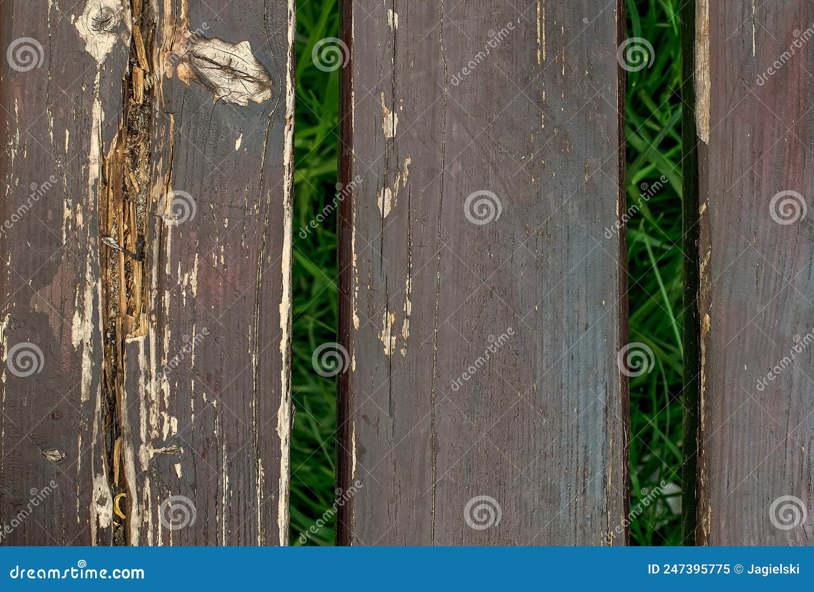 Natural plank texture stock image. Image of background - 247395775