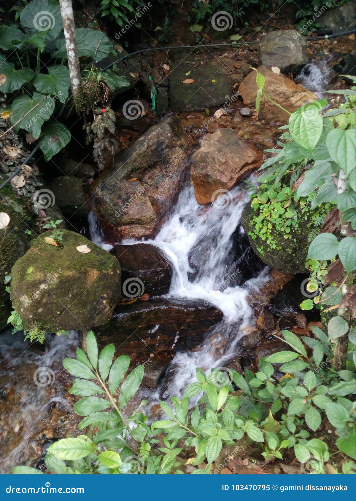 Natural Plases Photos - Free & Royalty-Free Stock Photos from Dreamstime