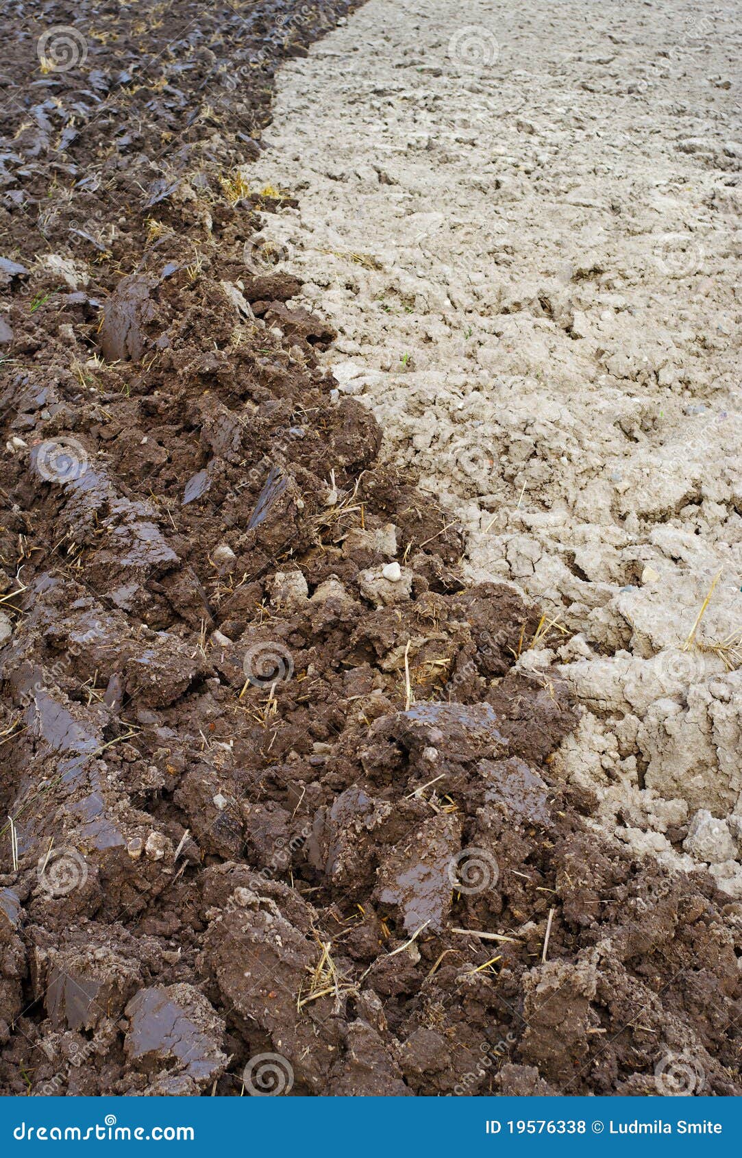 Natural plowed field. stock photo. Image of earth, agriculture - 19576338