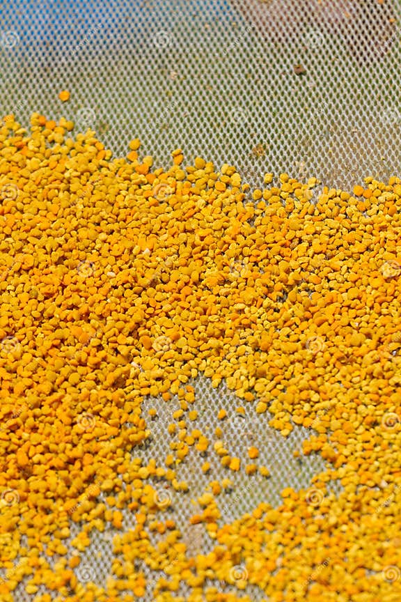 Natural Pollen stock photo. Image of backgrounds, honeyed - 19709732