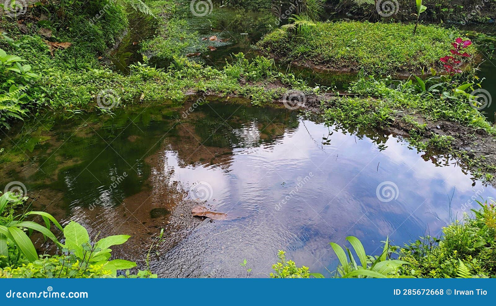 Natural Pool Located in a Forest Park Stock Photo - Image of travel ...