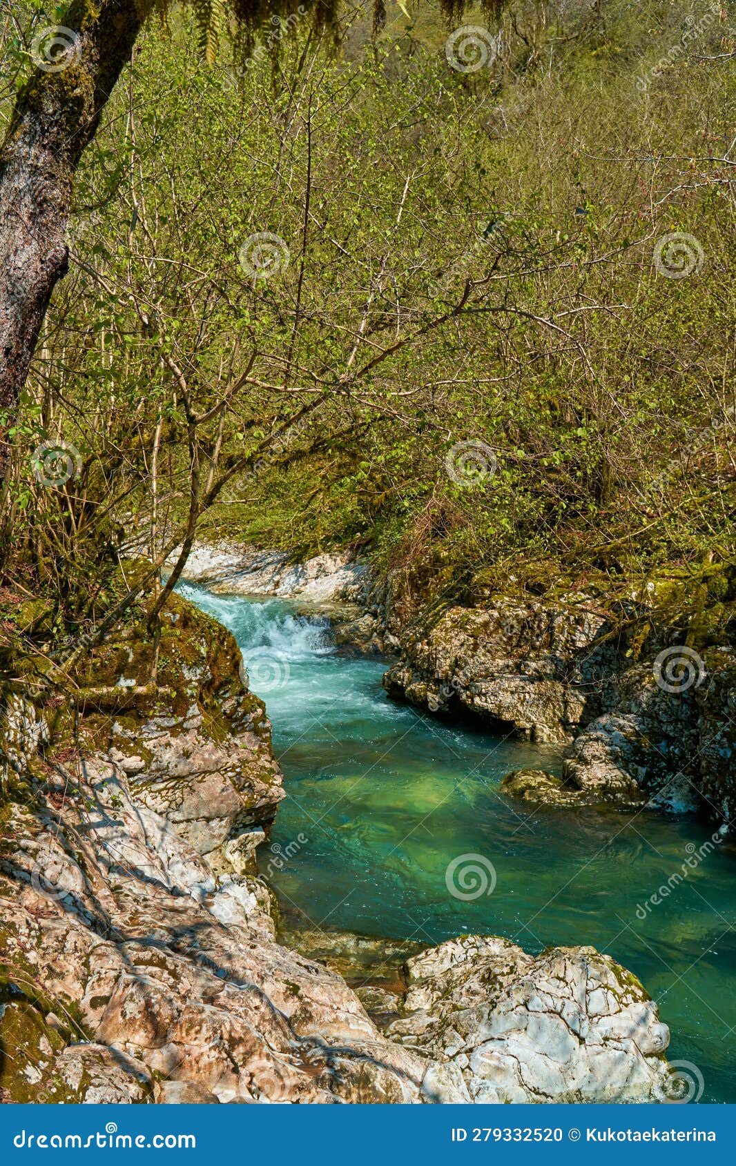 The Natural Pool of the Mountain River with Emerald Clear Water Stock ...
