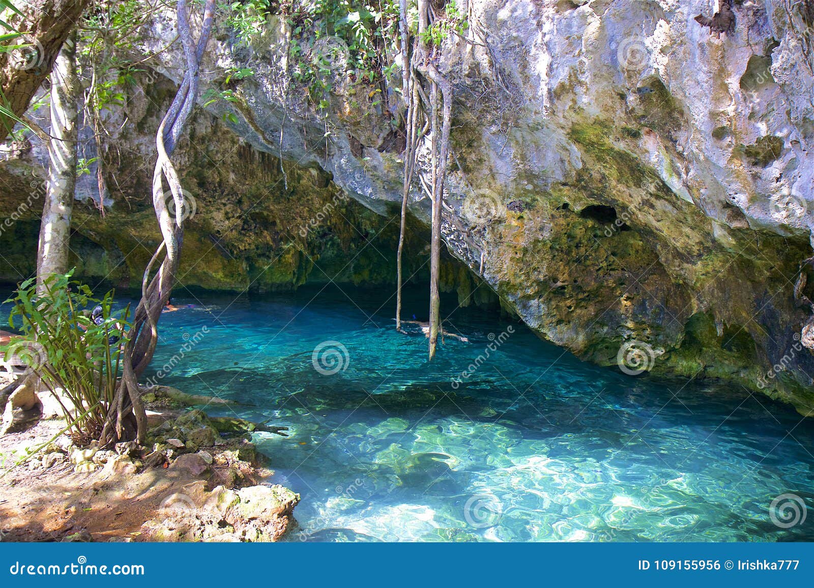 Cenotes in Mexico stock photo. Image of mayan, river - 109155956