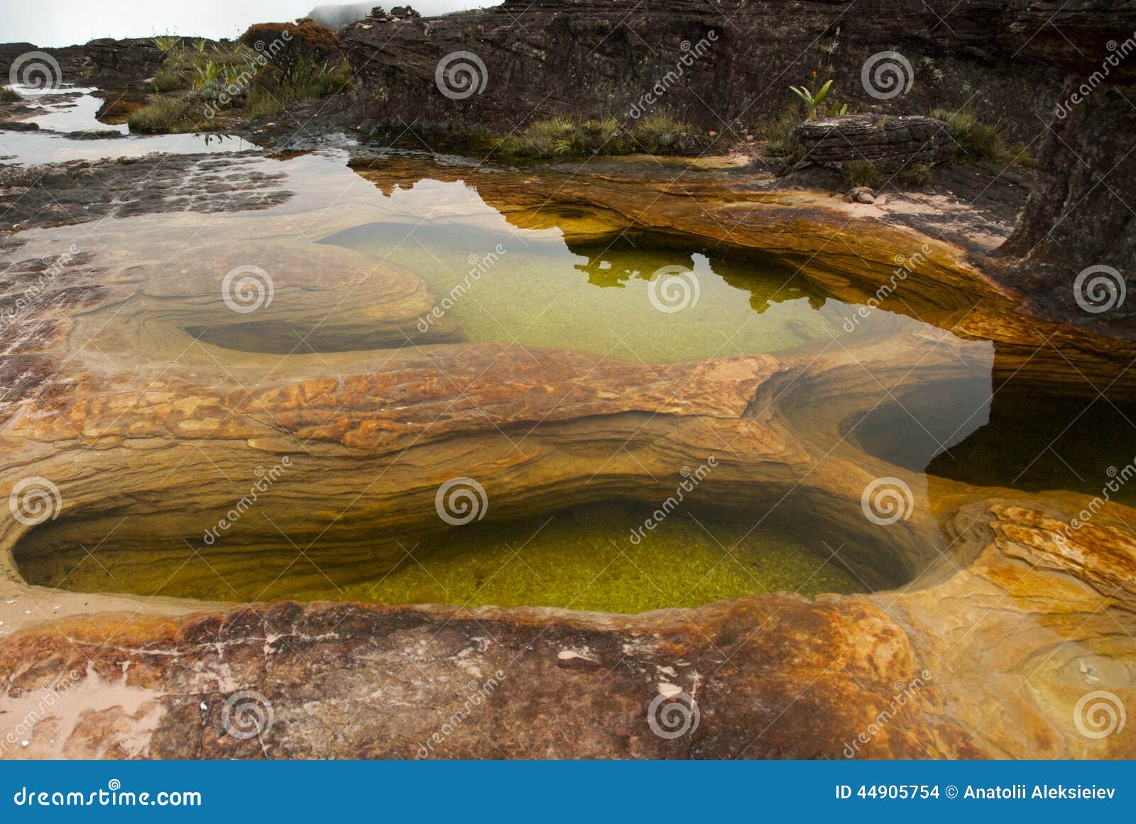Natural Pools, Mount Roraima Stock Photo - Image of nature, puddle ...