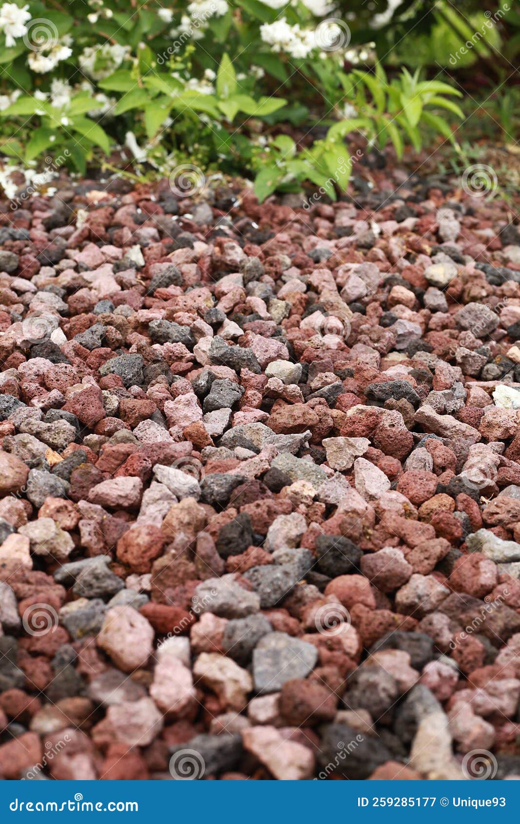 Natural pozzolan mulching stock image. Image of gravel - 259285177