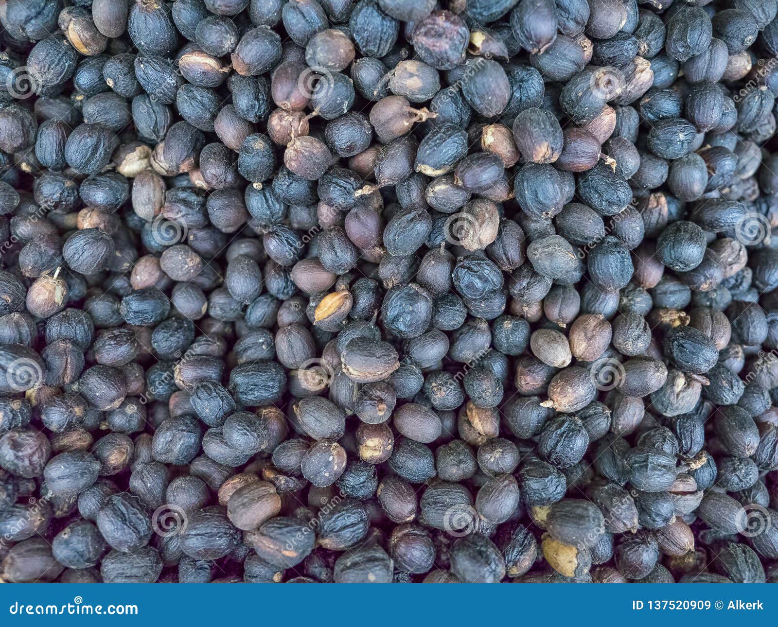 Natural Process Coffee Beans Stock Image - Image of processing, harvest ...
