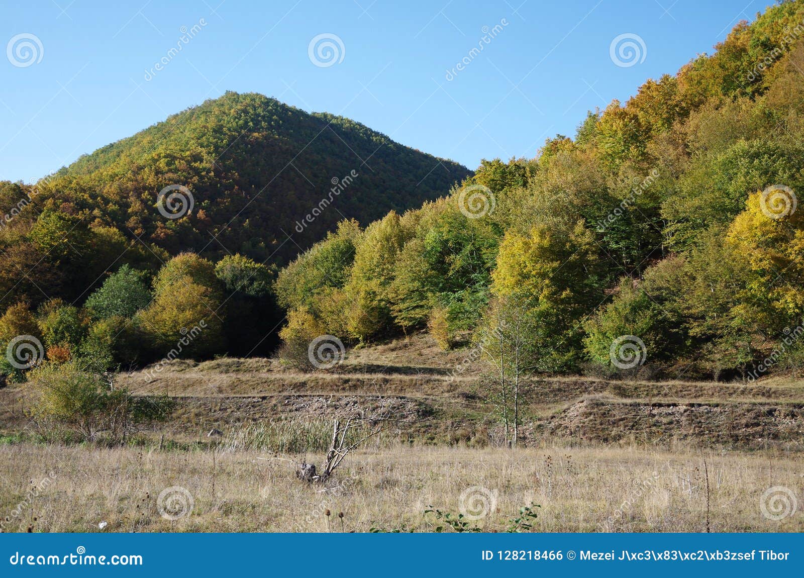 The Natural Pyramid stock photo. Image of dimensions - 128218466