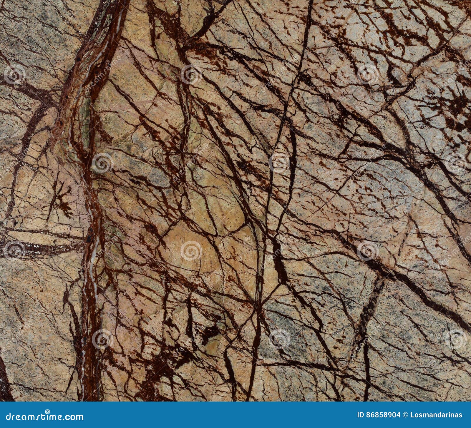 Natural Rain Forest Brown Marble Texture Stock Photo - Image of calcite ...