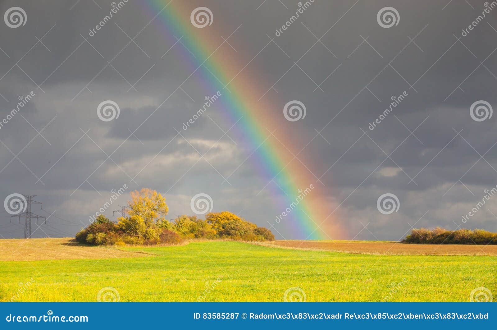 Natural Rainbow Over Green Field after Rain Stock Image - Image of ...