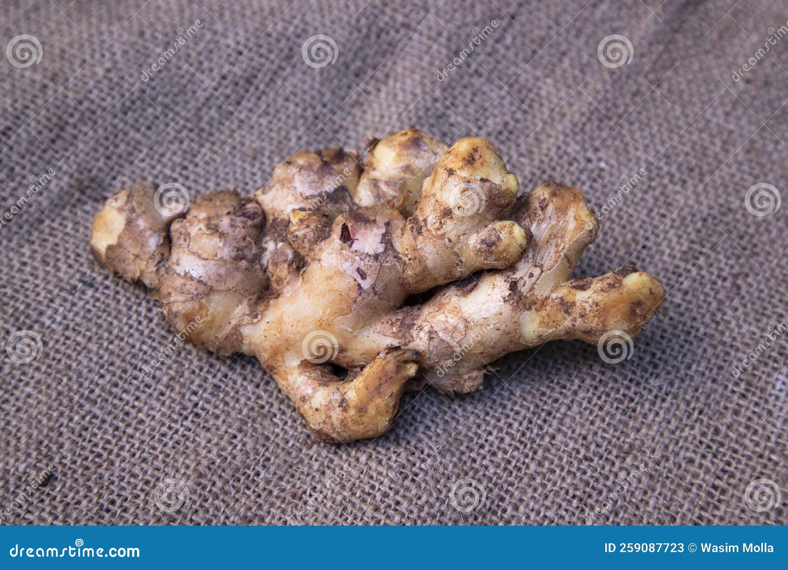 Natural Raw Ginger Root on the Jute Fabric Texture Stock Image - Image ...