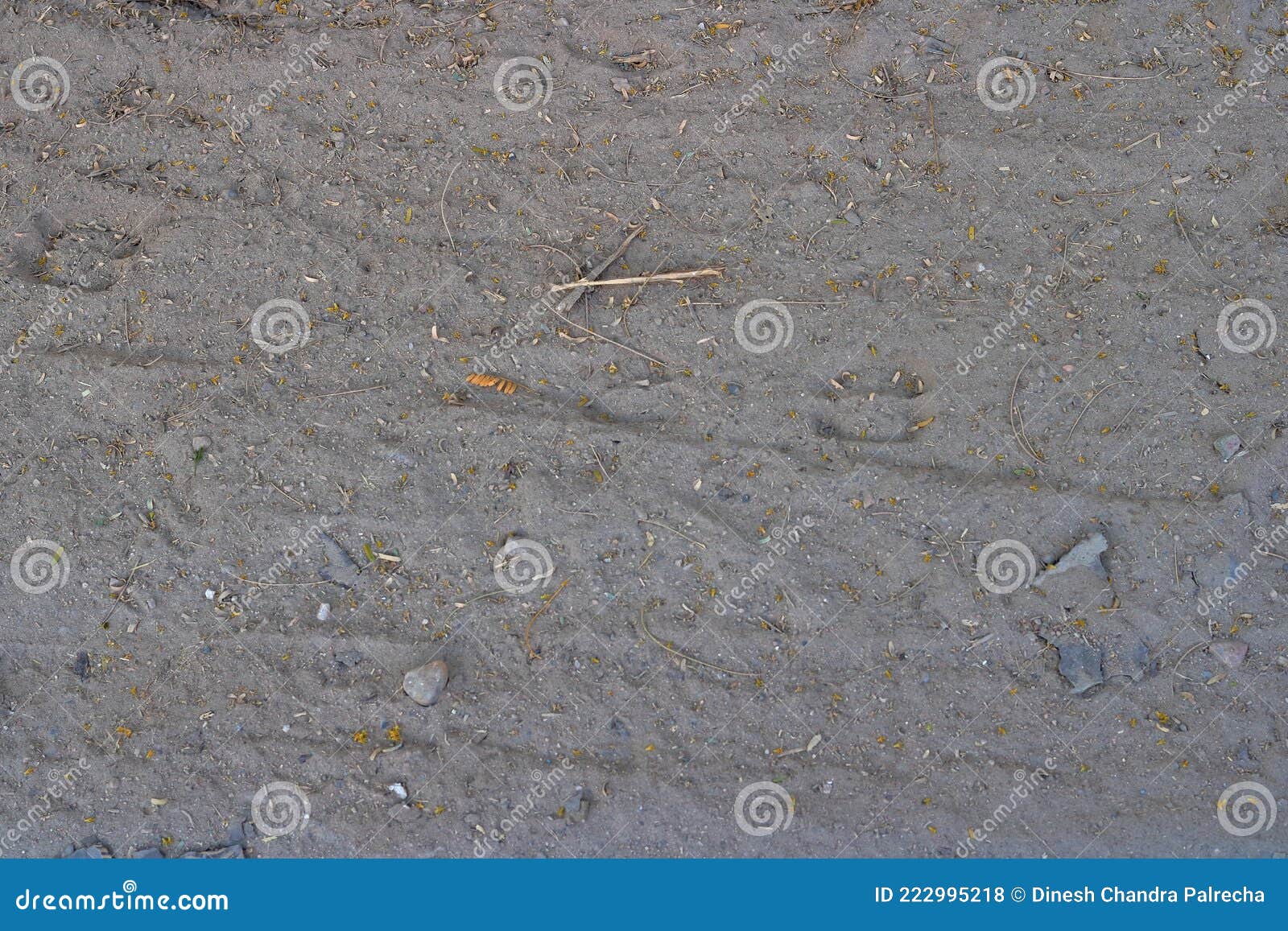 Natural Raw Road Background Texture, Background Wallpaper Stock Photo ...