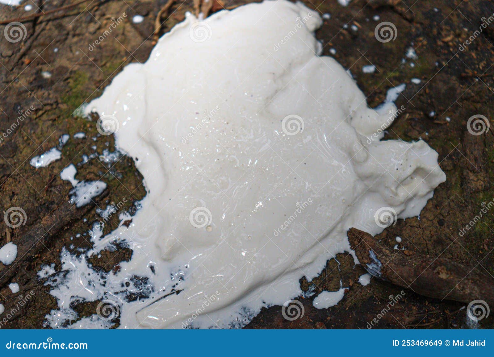 Natural Raw Rubber Sheets on Factory Stock Image - Image of forest ...