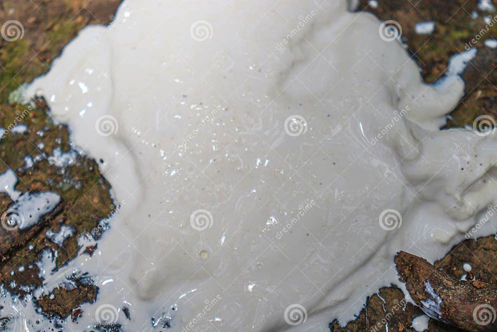 Natural Raw Rubber Sheets on Factory Stock Photo - Image of industrial ...