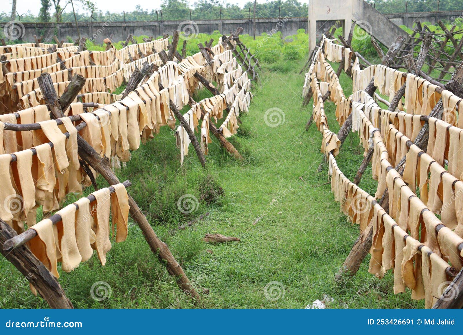 Natural Raw Rubber Sheets on Factory Stock Image - Image of process ...