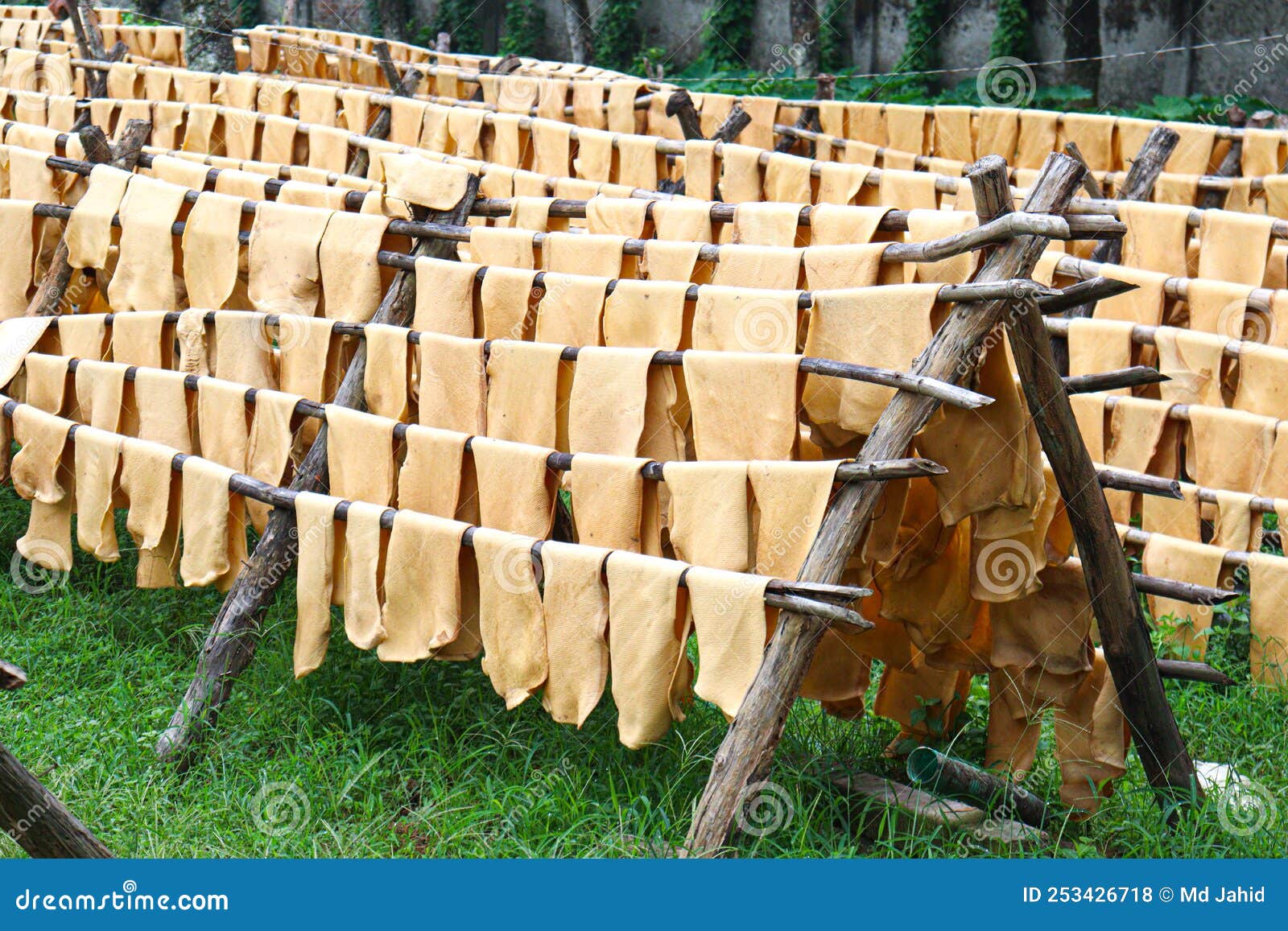 Natural Raw Rubber Sheets on Factory Stock Photo - Image of dried, tree ...