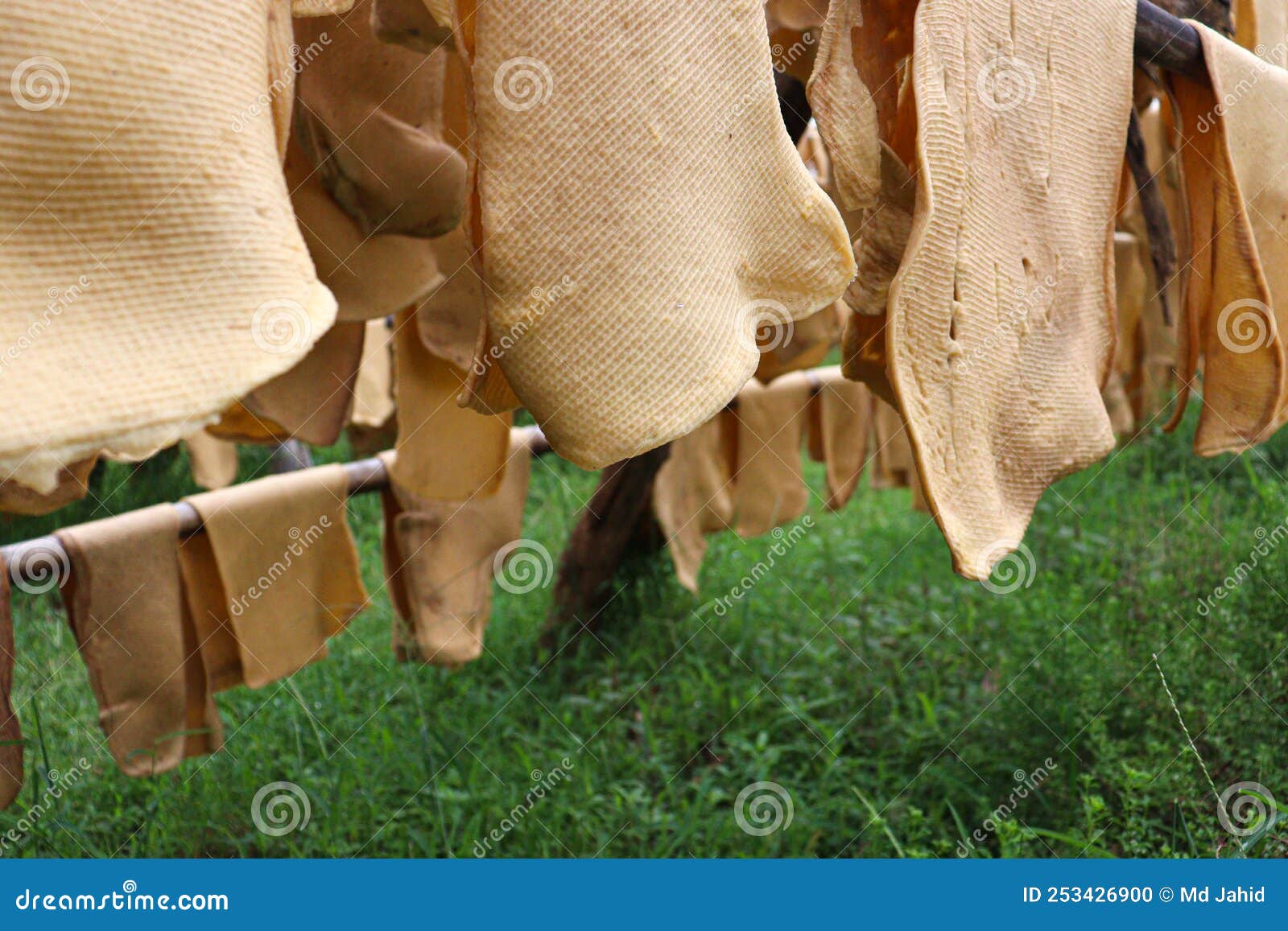 Natural Raw Rubber Sheets on Factory Stock Photo - Image of bowl, dried ...